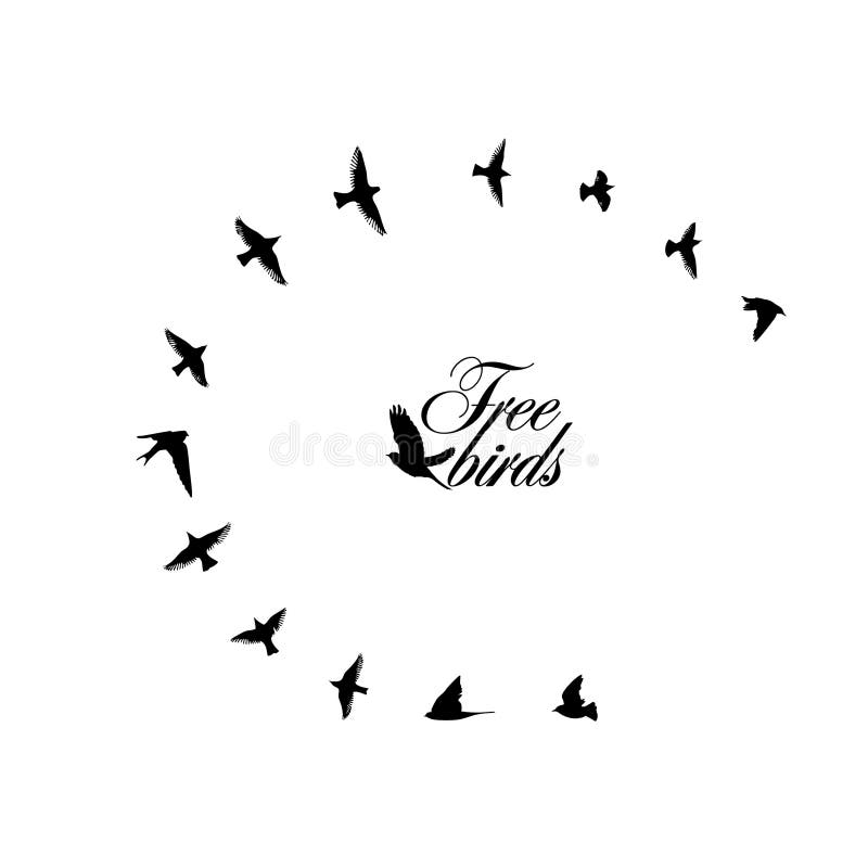 Birds in a Circle Frame. Silhouettes of Flying Birds, Hand Drawing. Not ...