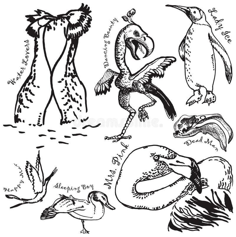 Birds collection 3 stock vector. Illustration of drawing - 7556508