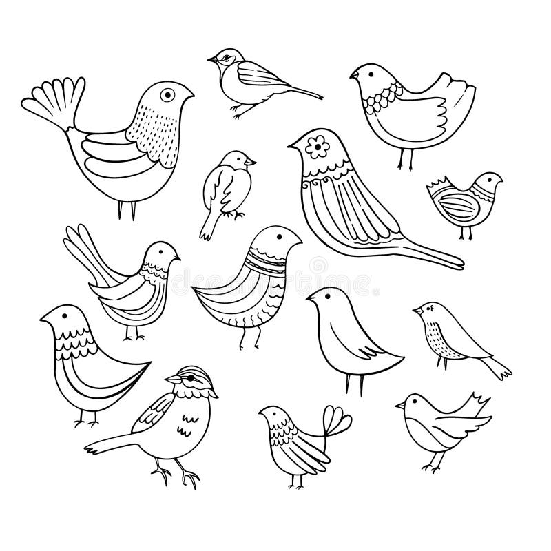 Birds Doodle stock vector. Illustration of cartoon, collection - 319428582