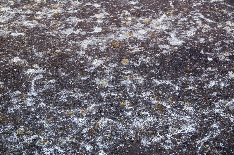 Birds Droppings Poop on the Footpath Texture Pavement. Stock Photo ...