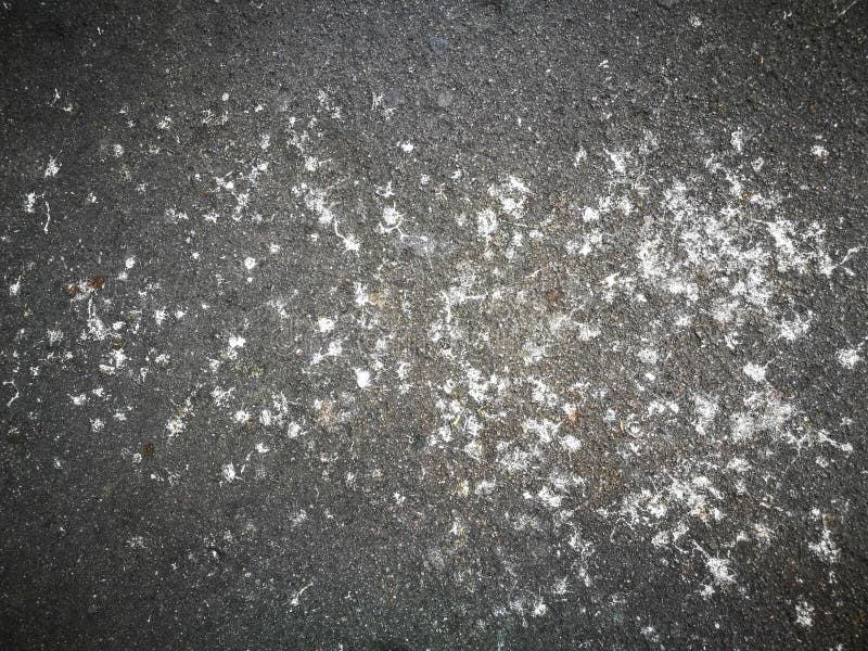 Birds Droppings Poop on the Footpath Texture Surface of Pavement. Stock ...
