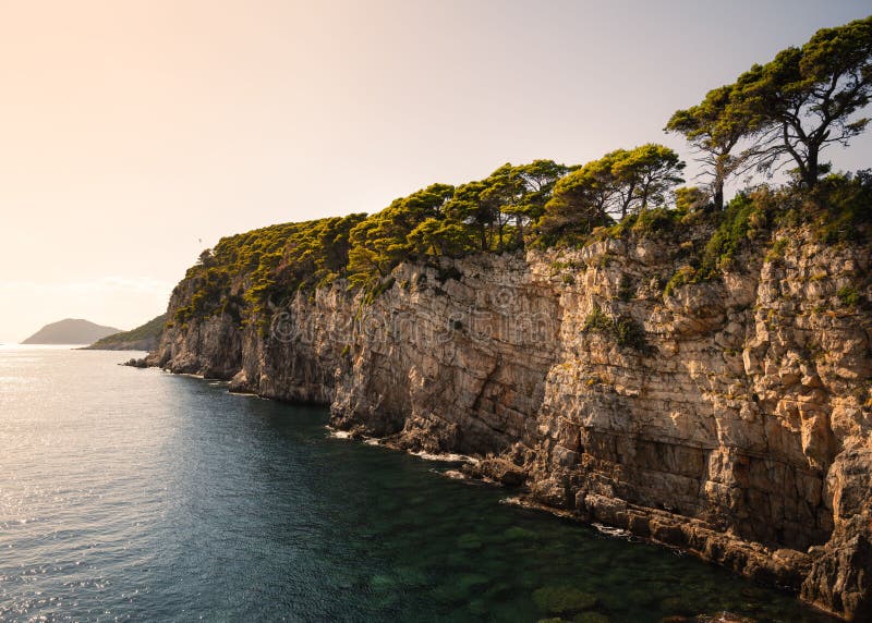 Birds Eye View of a Coastal Cliff Covered with Grass and Trees during a ...