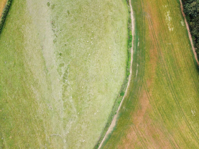 258 Birds Eye Pathway Stock Photos - Free & Royalty-Free Stock Photos ...