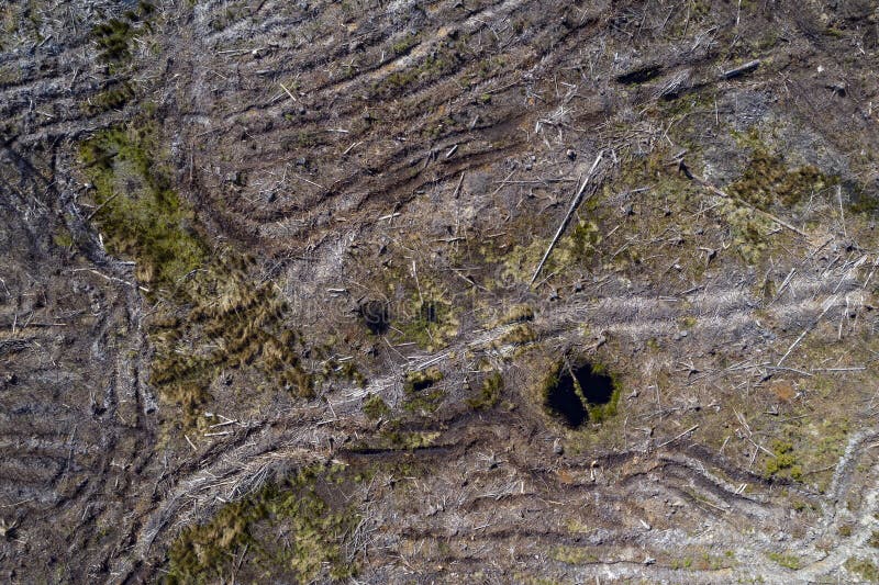 Birds Eye View of a Felling. Stock Photo - Image of broken, warming ...