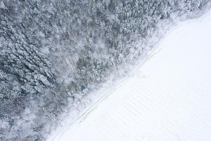 Birds Eye View of Field and Forest Edge in Winter Under Snow Stock ...