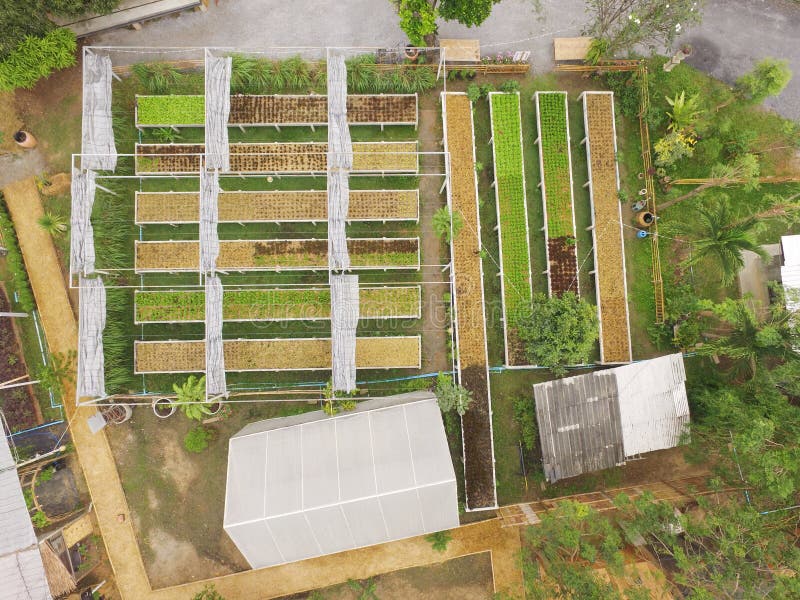 Birds Eye View of the Vegetable Fields Stock Photo - Image of plant ...