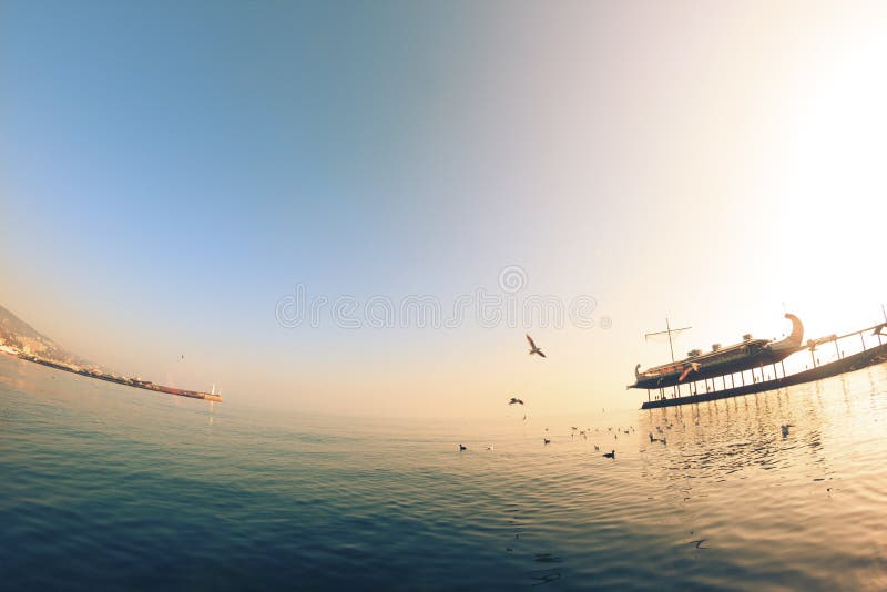 Birds Fly Over Sea Water at Sunset Stock Photo - Image of altitude ...