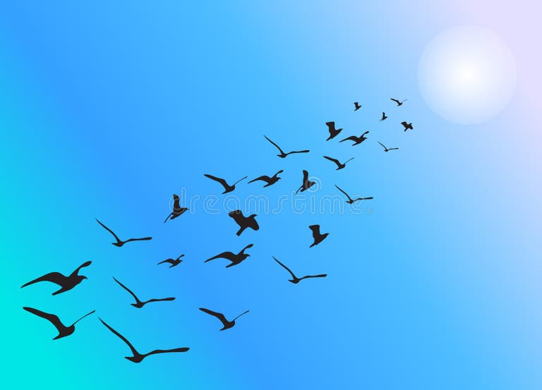 Bird Formation Stock Illustrations – 4,842 Bird Formation Stock ...