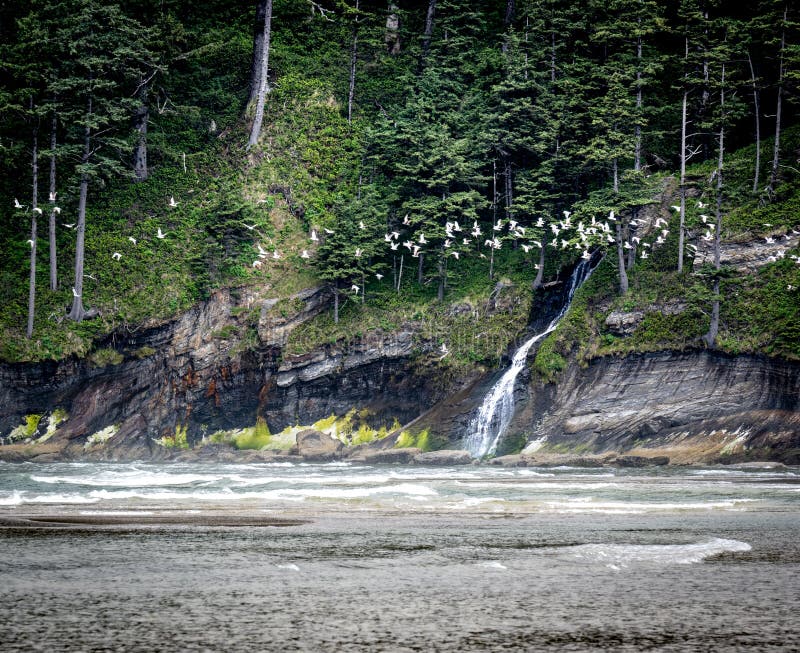 Birds Flying in Front of a Waterfall at Short Sands Beach in Oregon ...