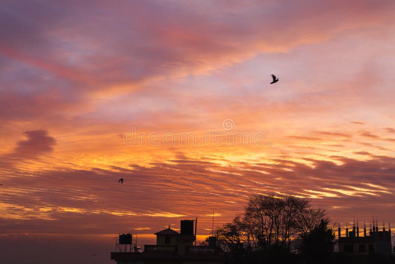 4,417 Morning Sunrise Flying Birds Stock Photos - Free & Royalty-Free ...
