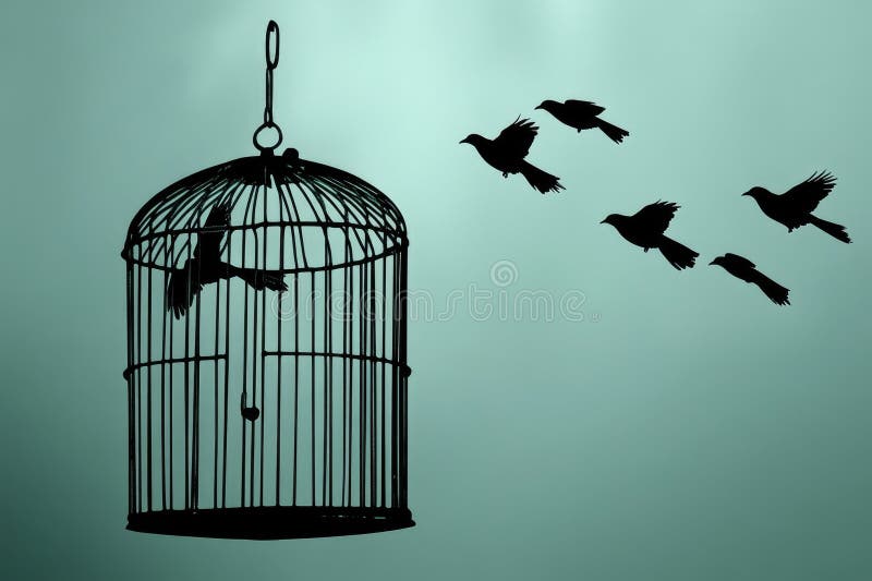 Birds Flying Out of Cage Against Blue Sky, Symbolizing Freedom and ...
