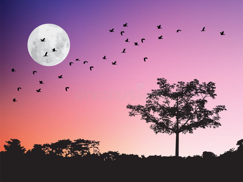 Birds Flying Over the Moon and Tree Silhouette in Twilight Sunset Stock ...