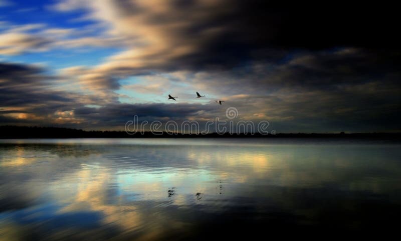 Birds Flying Over the River Against a Dramatic Cloudy Sky Stock Image ...