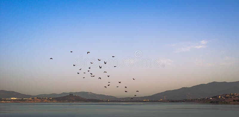 Birds Flying Over the Water before the Mountains Under the Blue Sky ...