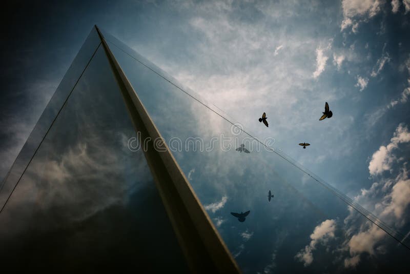 Birds flying reflections stock photo. Image of business - 90713694