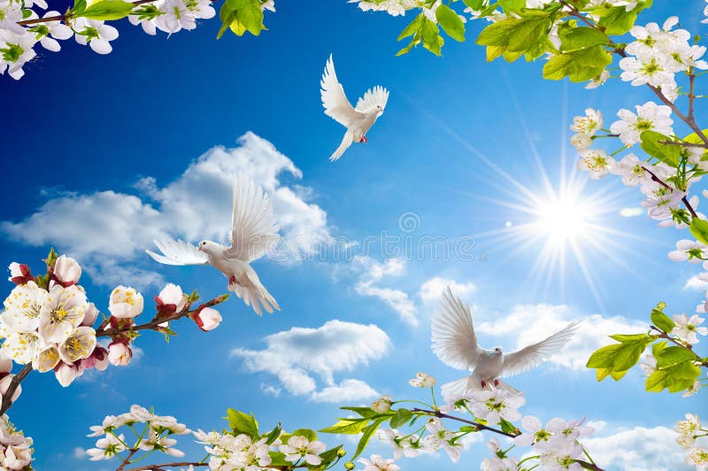 Sunny Sky and Rejoicing Birds in Spring Stock Image - Image of leaf ...