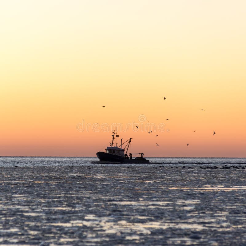 Birds Flying in Sunset Over Frozen Sea and Small Ship Stock Photo ...