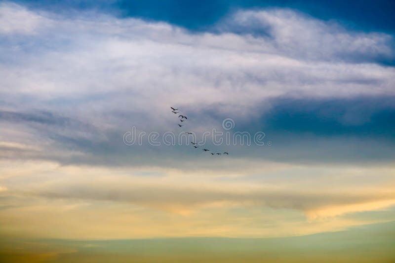 Birds Flying To Home on Colorful Sky Soft Cloud Stock Photo - Image of ...