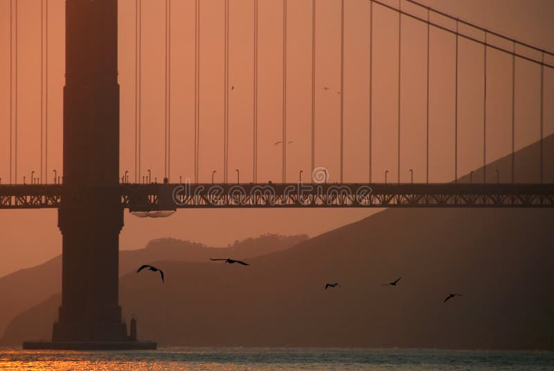 Birds Flying Under Golden Gate Bridge Stock Photo - Image of sunset ...