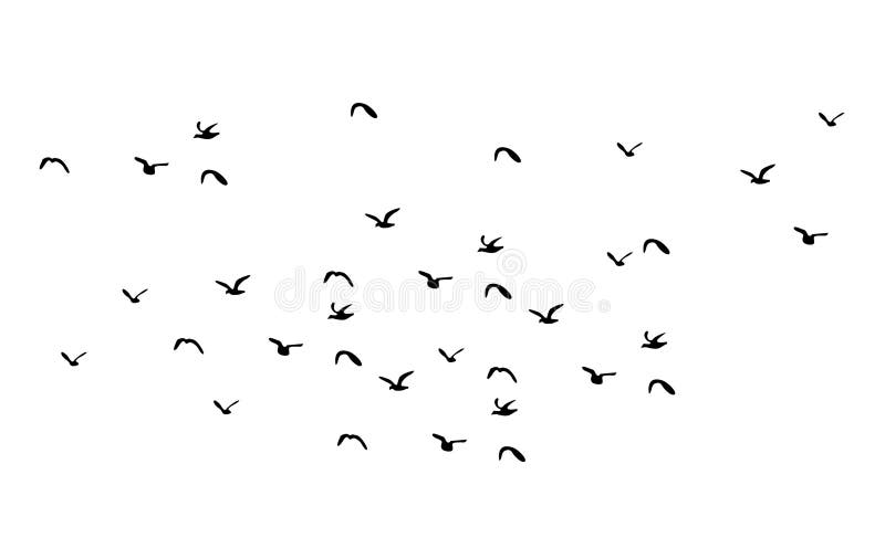 Birds Flying Vector Illustration Stock Illustration - Illustration of ...