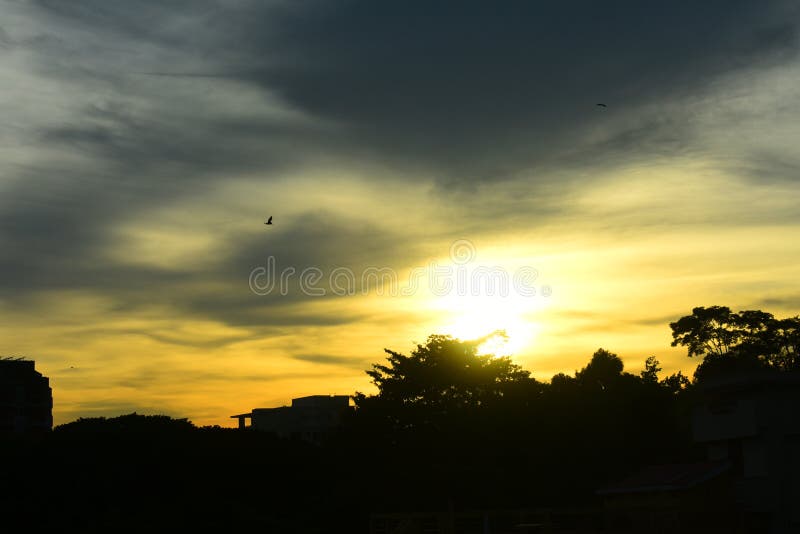 Birds Going Home in the Sunset Stock Image - Image of sunlight, sunset ...