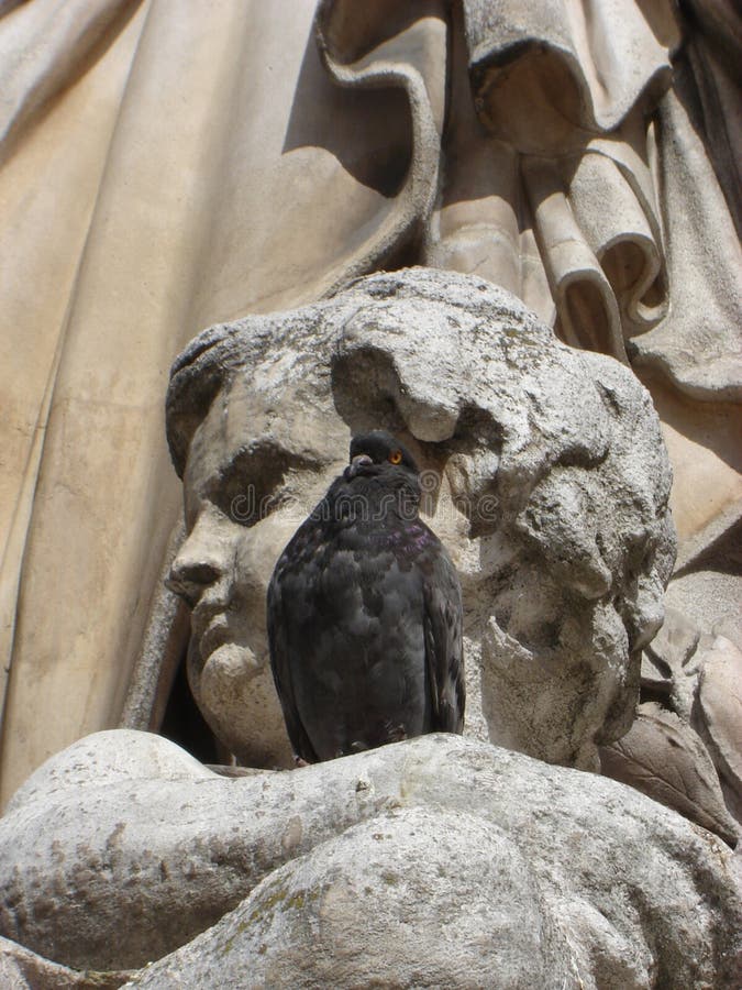 Birds at the Grand Opera stock image. Image of birds - 120032723