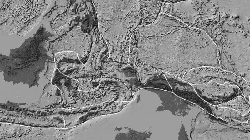 Birds Head Plate Dashed. Patterson Cylindrical. Bilevel Stock ...