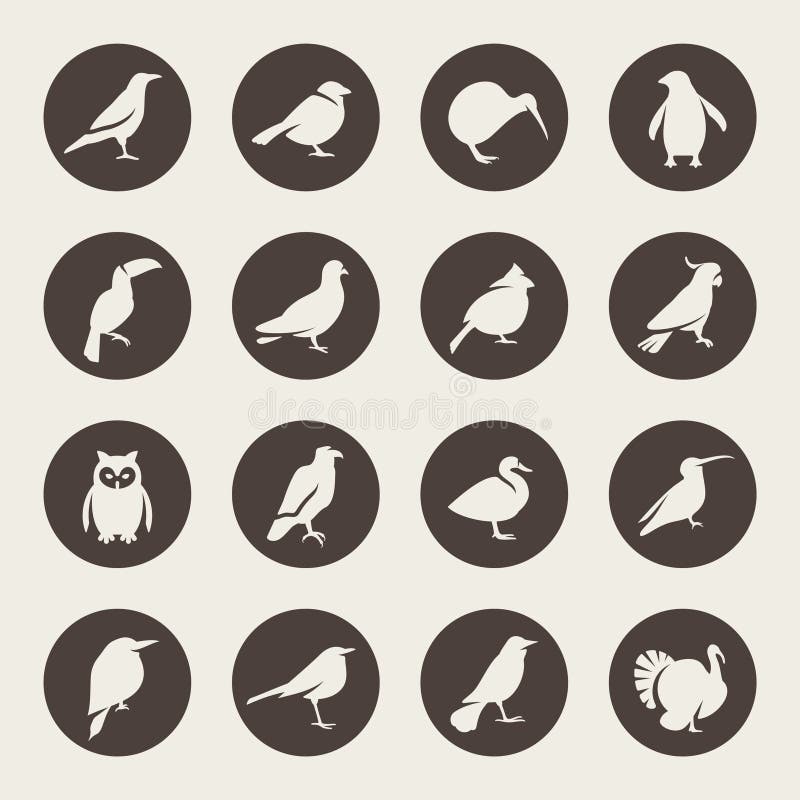 Birds icon set stock vector. Illustration of falcon, element - 46213805