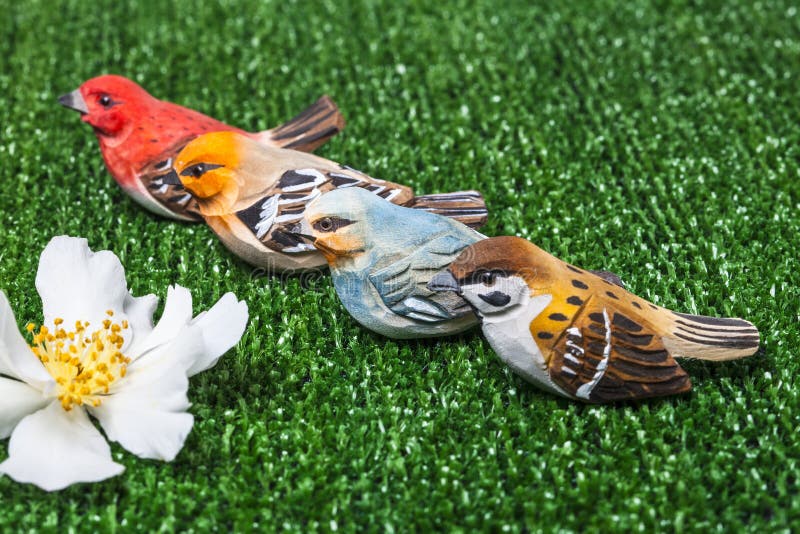 The birds stock image. Image of view, land, wildlife - 29844009