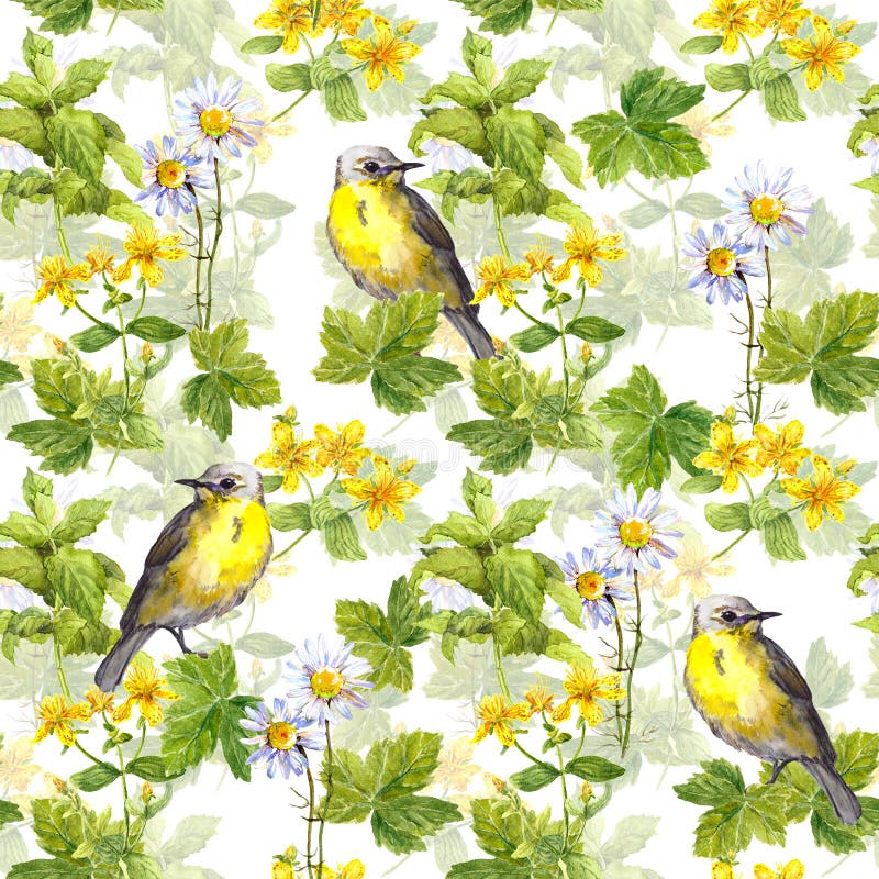 Birds, Meadow: Herbs, Flower, Grass. Floral Repeating Pattern ...