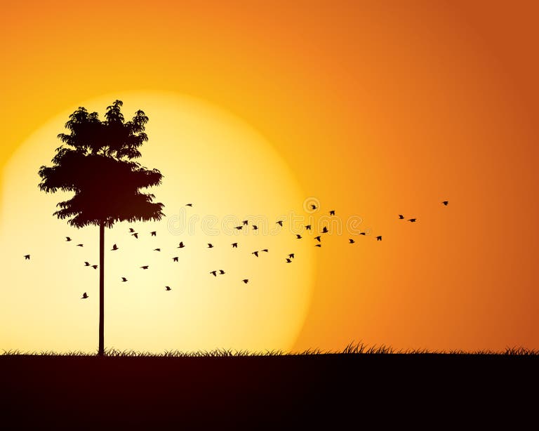 Birds Migration through Tranquil Sunset Scene Stock Vector ...