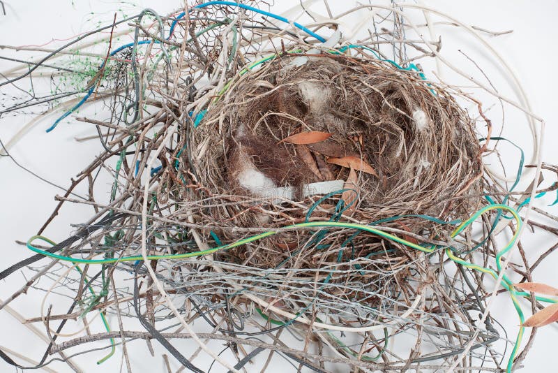 Birds Nest stock photo. Image of nesting, nest, sticks - 25727720