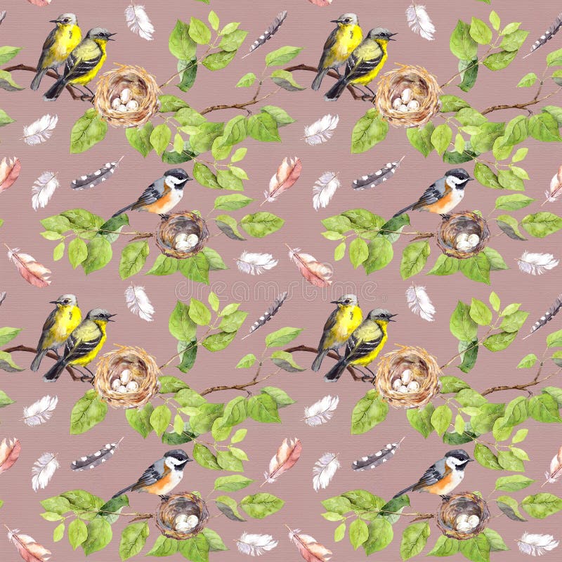 Birds, Nest on Branch. Seamless Repeating Pattern. Watercolor Stock ...