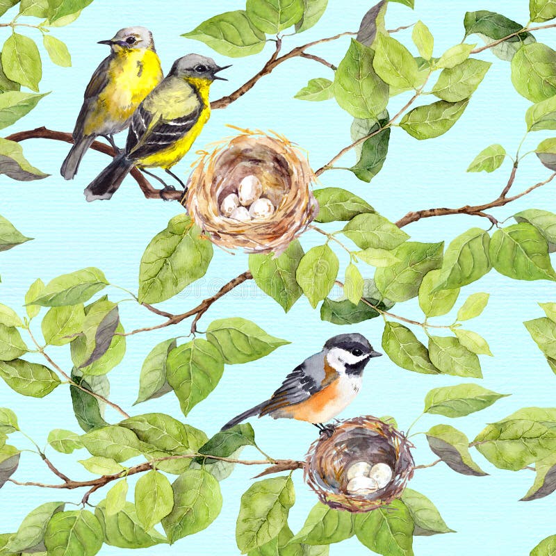 Birds, Nest on Branch. Seamless Repeating Pattern. Watercolor Stock ...