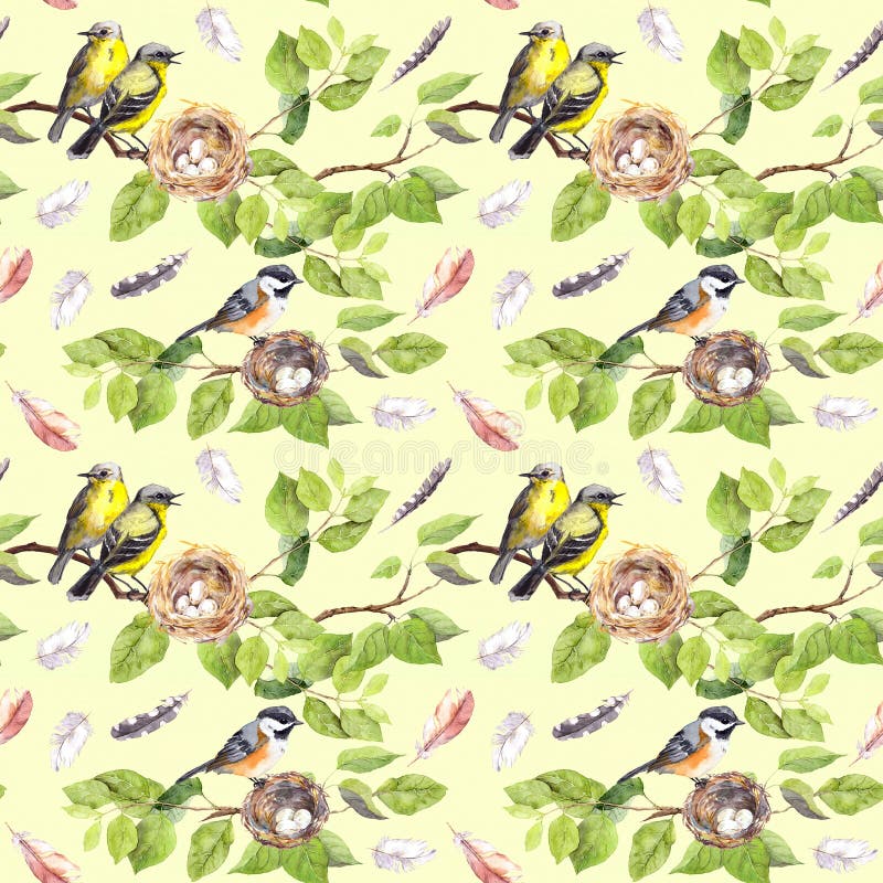 Birds, Nest on Branch. Seamless Repeating Pattern. Watercolor Stock ...