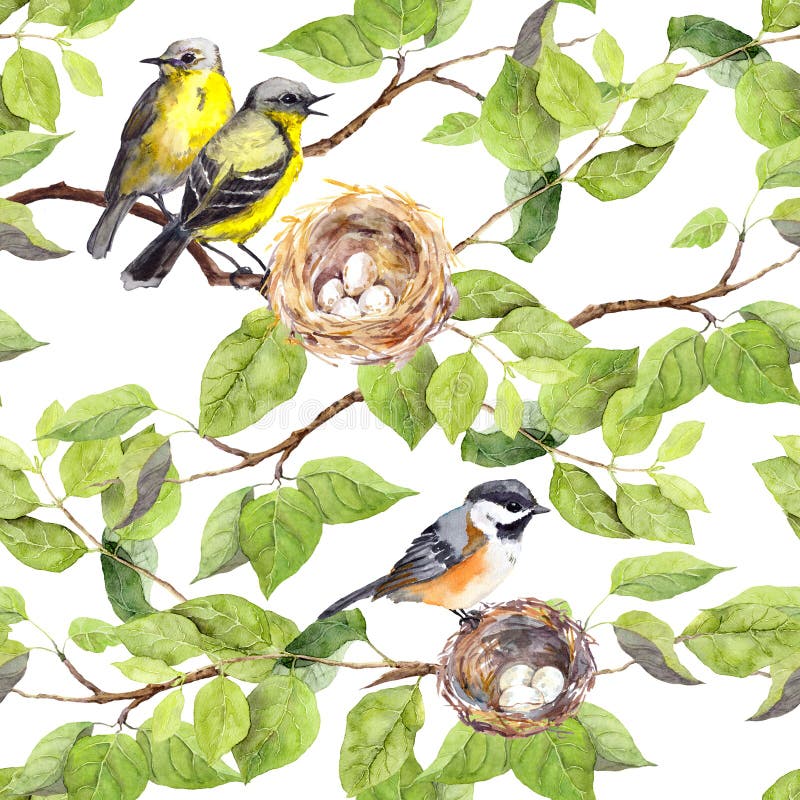 Birds, Nest on Branch. Seamless Repeating Pattern. Watercolor Stock ...