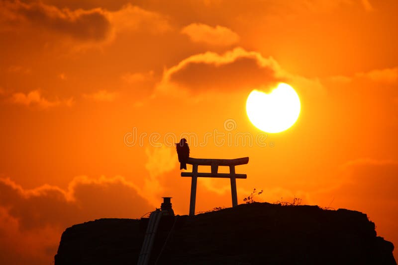 Birds Perched at the Torii Gate and the Morning Sun Stock Photo - Image ...