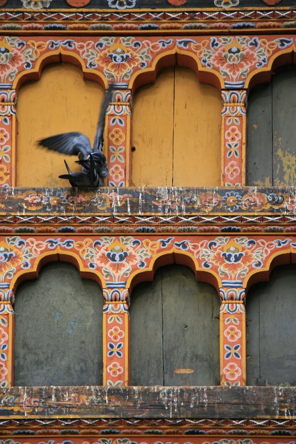 Birds (pigeons ?) in Paro - Bhutan Stock Photo - Image of pigeons ...