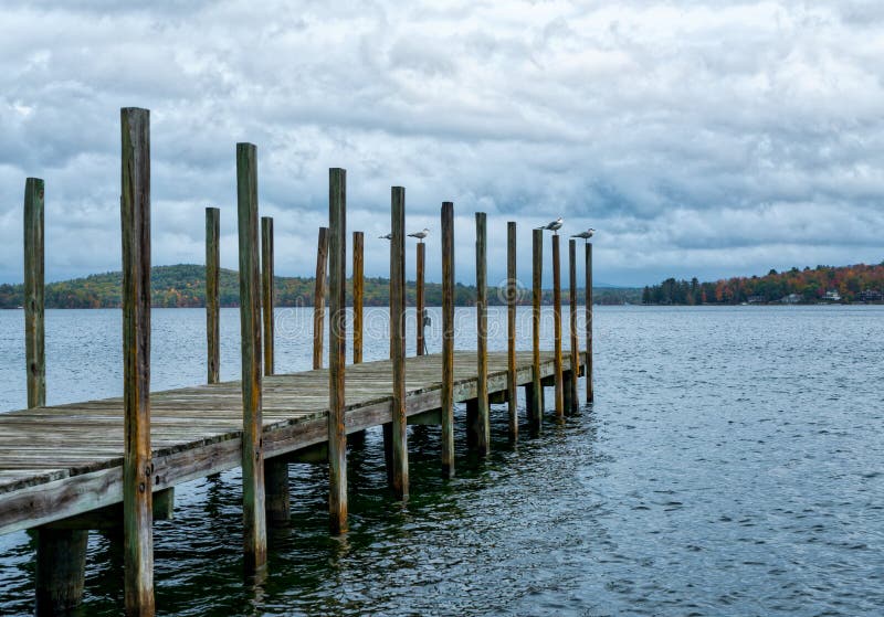 Birds Rest on Ocean Lake Dock Stock Image - Image of clouds, ocean ...