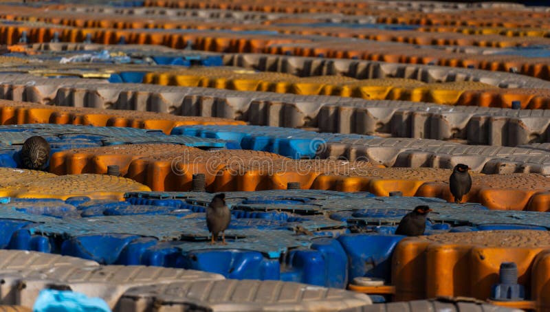 Modular Docks Stock Photos - Free & Royalty-Free Stock Photos from ...