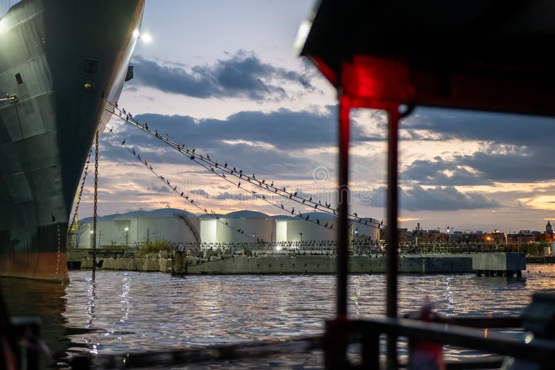 Birds Resting on a Ship Line Stock Image - Image of wild, fishing ...