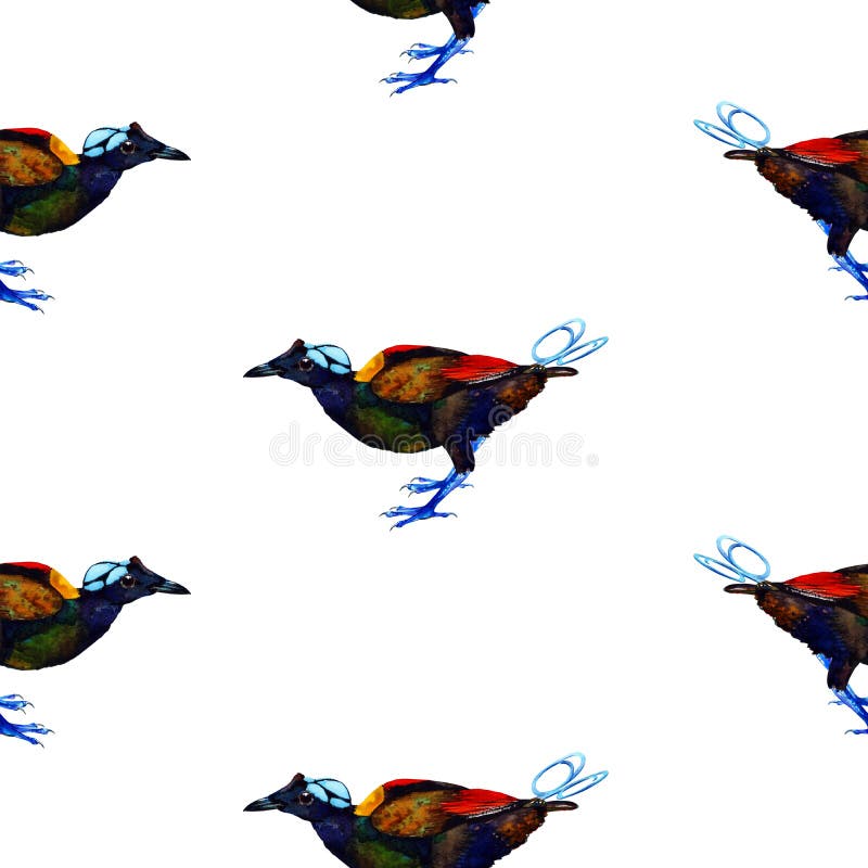 Birds seamless pattern. stock illustration. Illustration of mascot ...