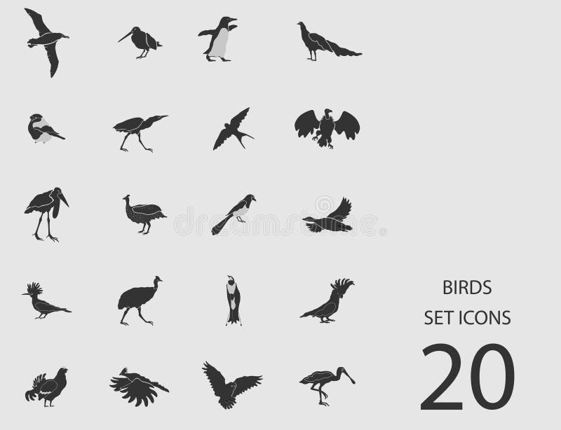 Birds Set of Flat Icons. Vector Illustration Stock Vector ...