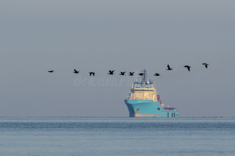 Offshore ship stock image. Image of economy, bulk, maritime - 244602719