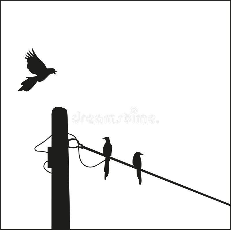Birds Silhouette on Electrical Wires Stock Illustration - Illustration ...