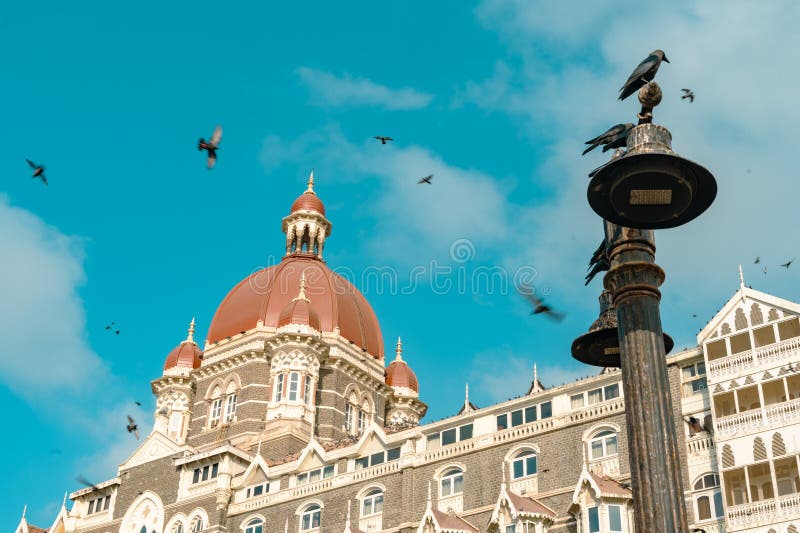 Birds Flying in Front of a Building with Many Windows and a Dome ...
