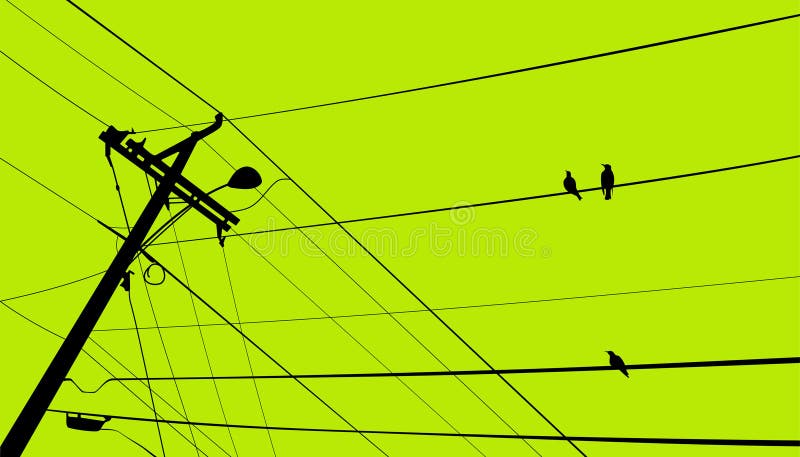 Birds Stand on Powerline Silhouette Stock Vector - Illustration of ...