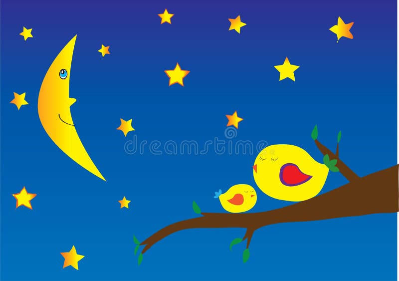 Birds and starry night stock vector. Illustration of imagination - 13545396