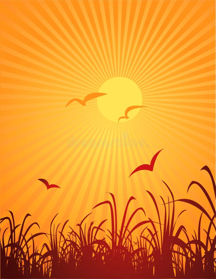 Sunset stock vector. Illustration of ligt, sunset, goose - 1053060