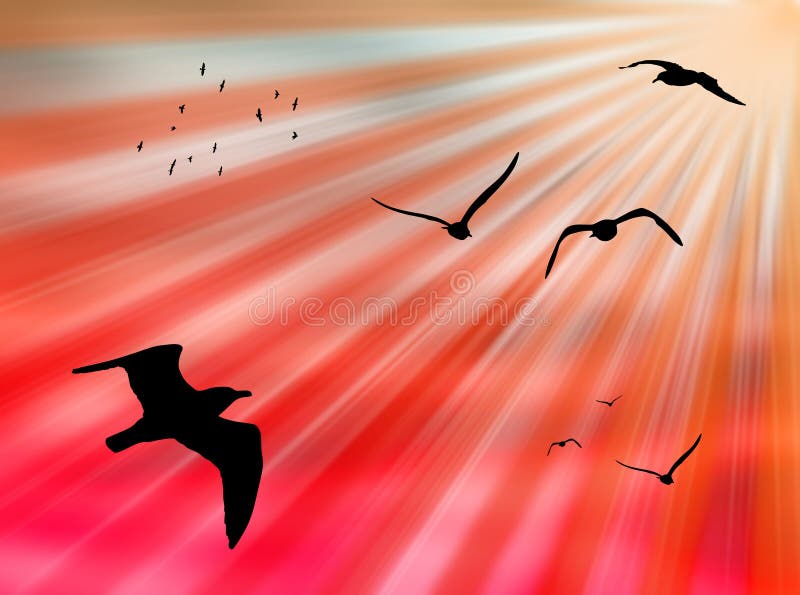 Birds in the sun stock illustration. Illustration of birds - 7559404